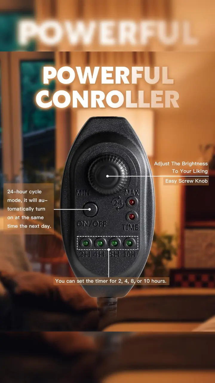 VMEG | AI-Powered Video Localization Platform